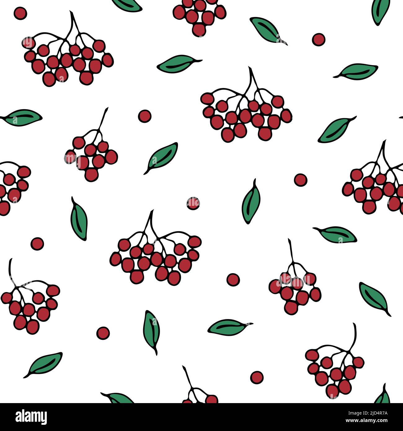 Seamless vector pattern with red berries on white background. Simple ...