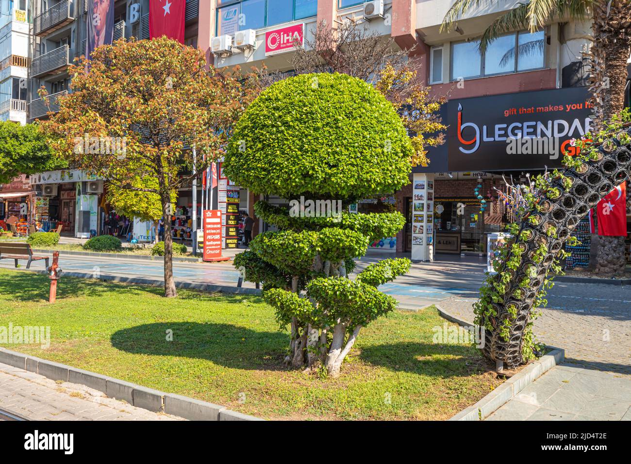 18 May 2022, Antalya, Turkiye: tree crowning as urban decoration at ...
