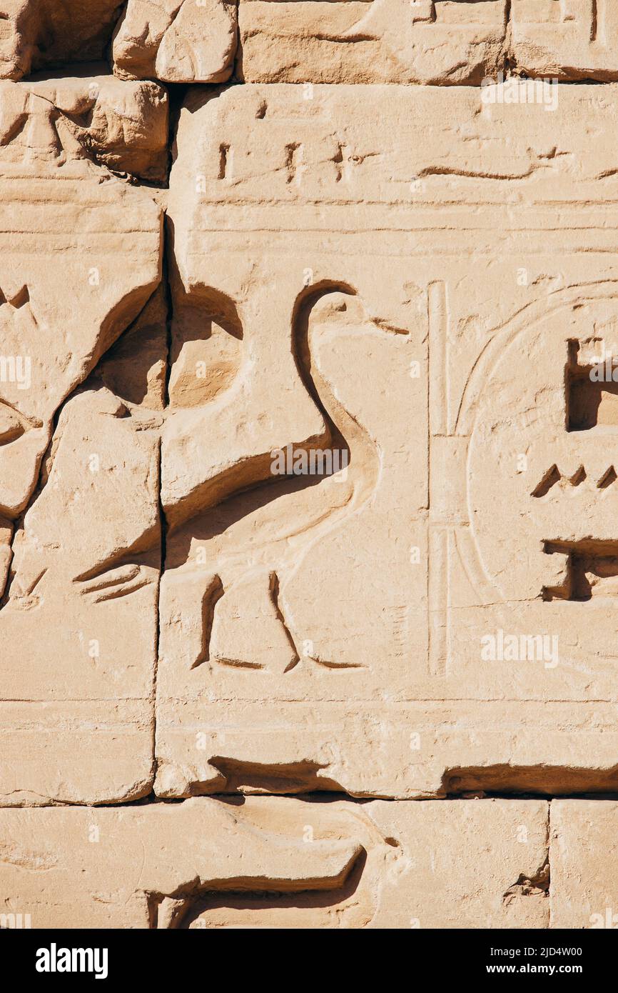 Hieroglyph bird hi-res stock photography and images - Alamy