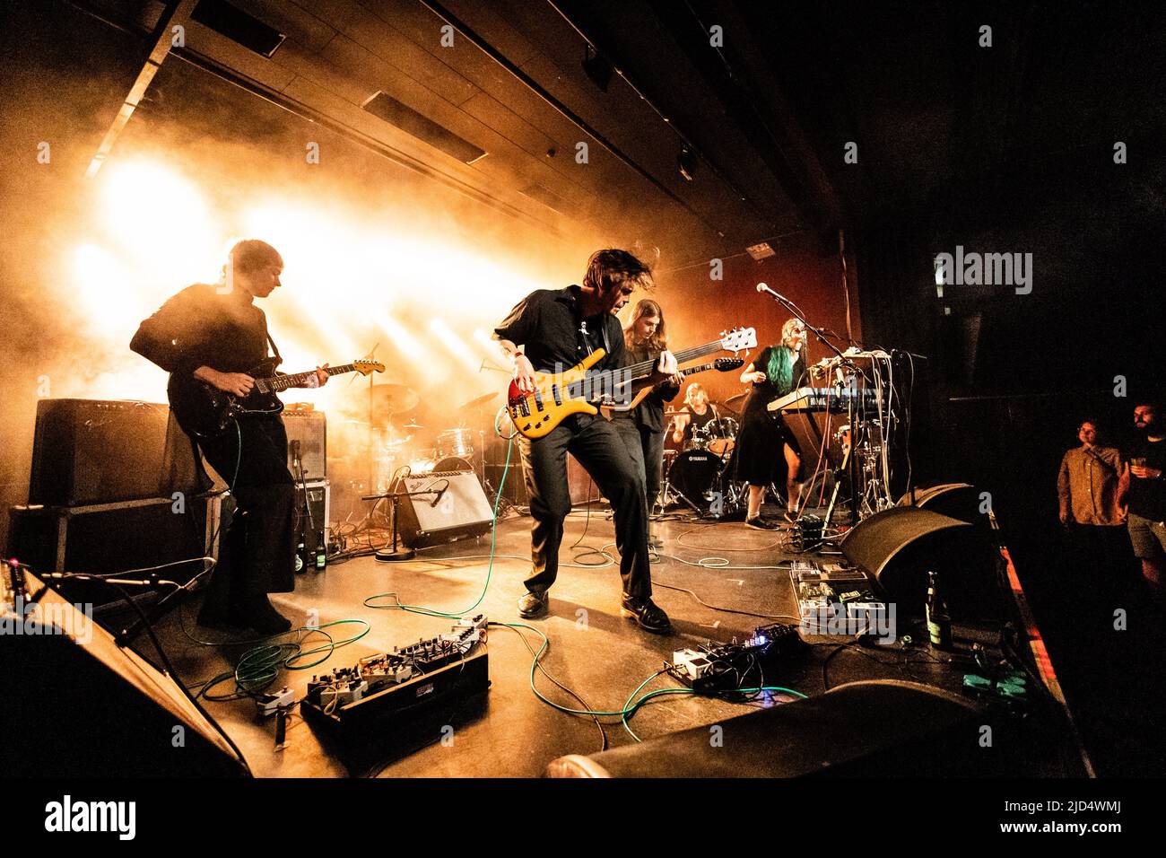 Copenhagen, Denmark. 17th June, 2022. The Swedish band Den Der Hale ...