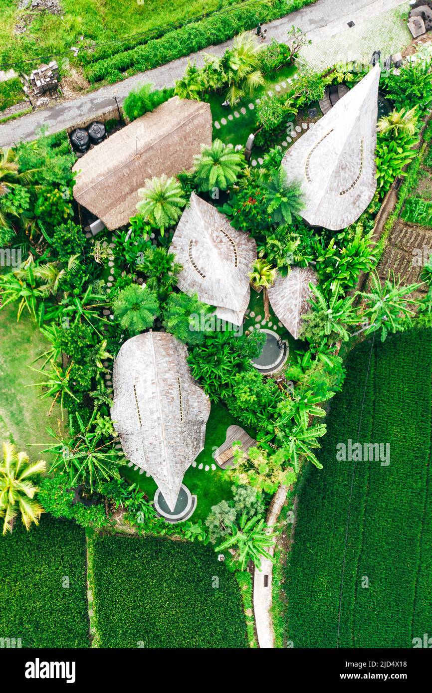 aerial top down view of bamboo villas in the rice fields of ubud bali ...