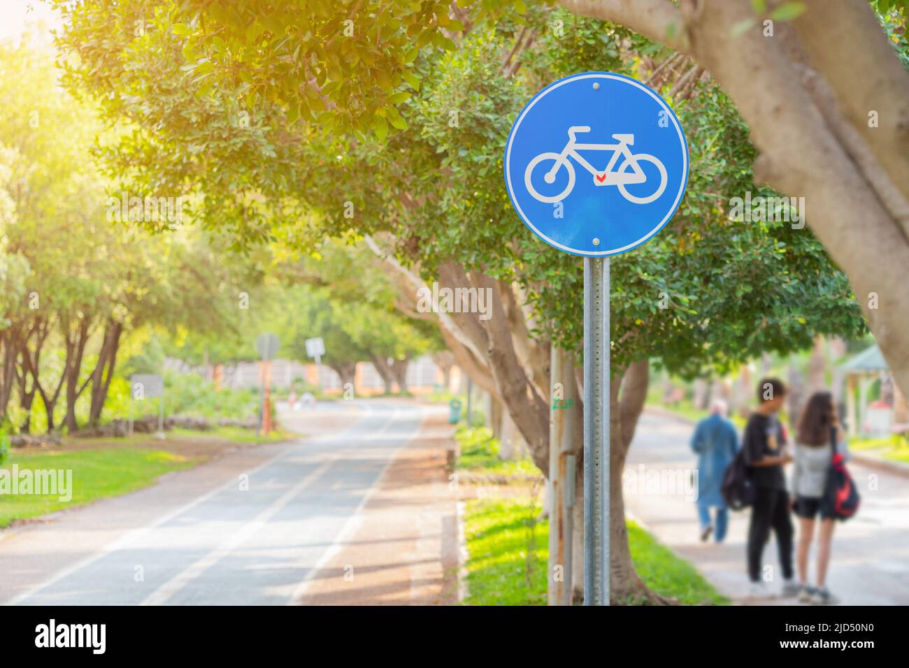 bike path in a park with painted pavement and road signs. Eco-friendly ...