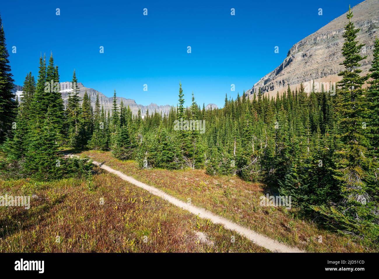 Morning sun lights up peaks and meadows around hiking trail. Sunny ...