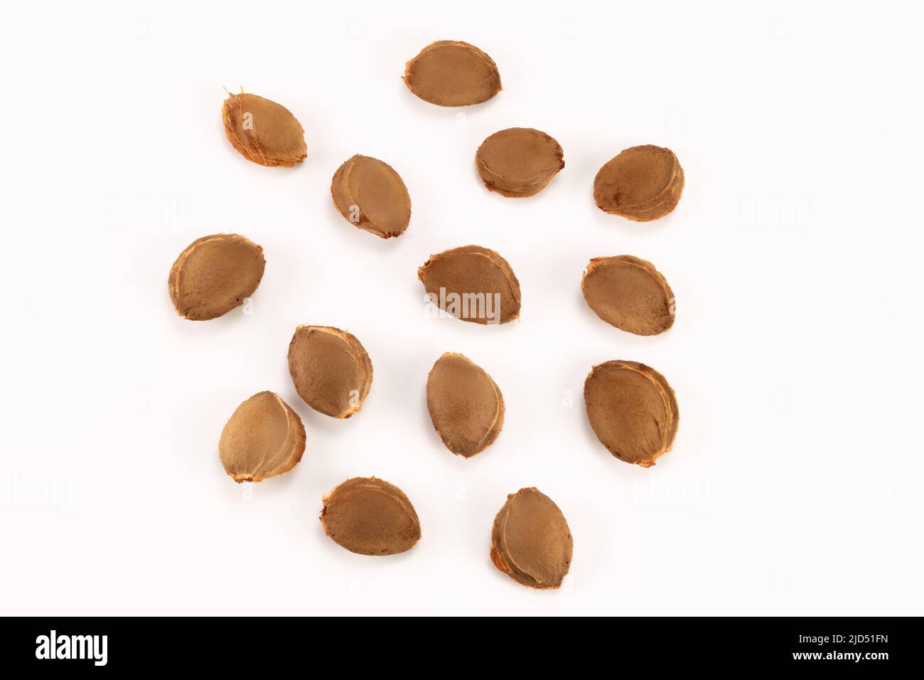 Top view of apricot pits. Healthy food background Stock Photo - Alamy