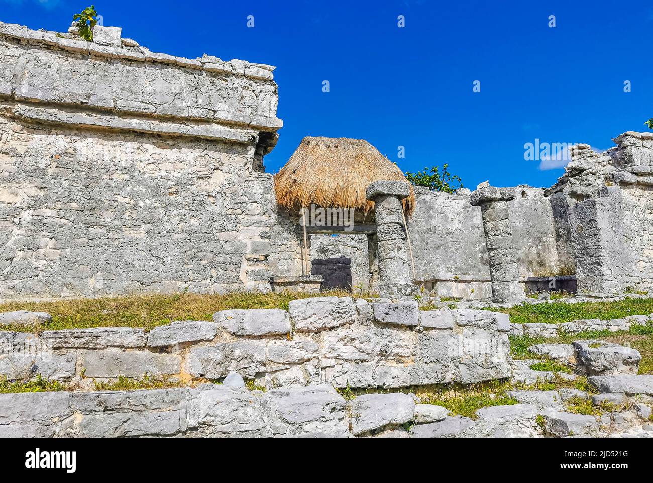 Ancient Tulum ruins Mayan site with temple ruins pyramids and artifacts ...