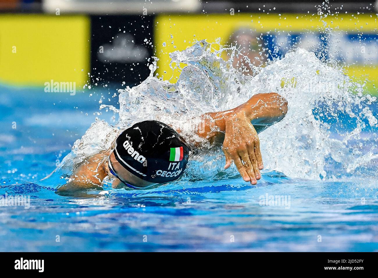 4x100 freestyle relay men heats hi-res stock photography and images - Alamy
