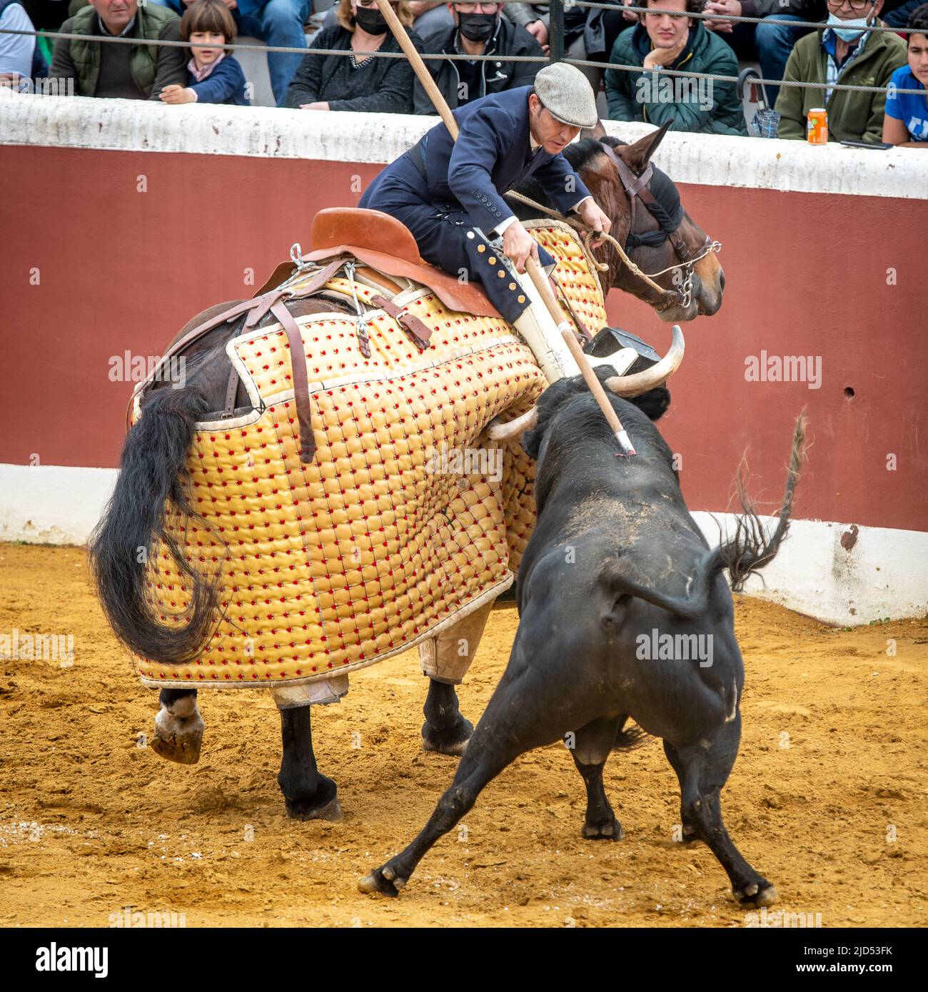 Bull armor hi-res stock photography and images - Alamy