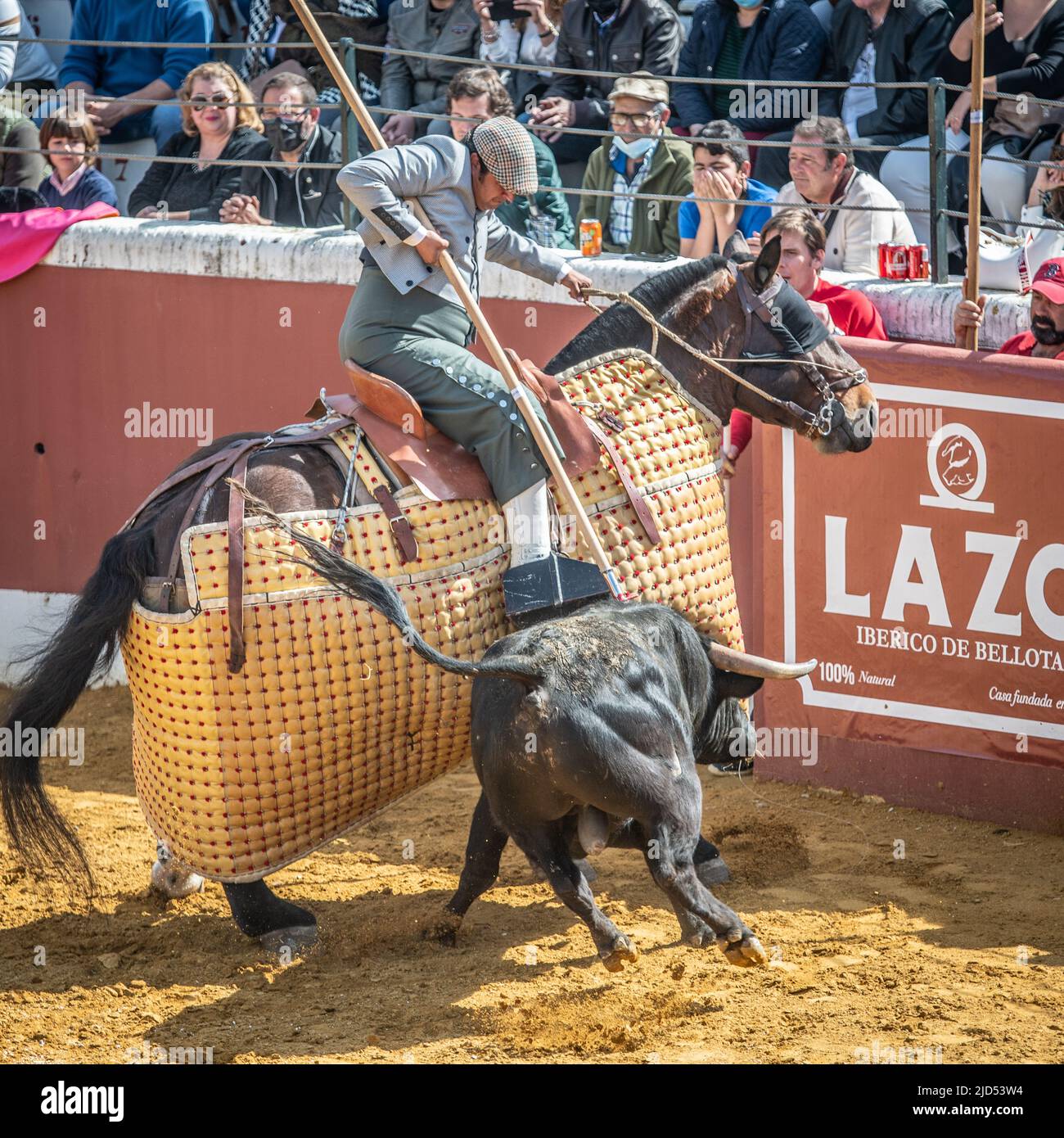 Bull armor hi-res stock photography and images - Alamy