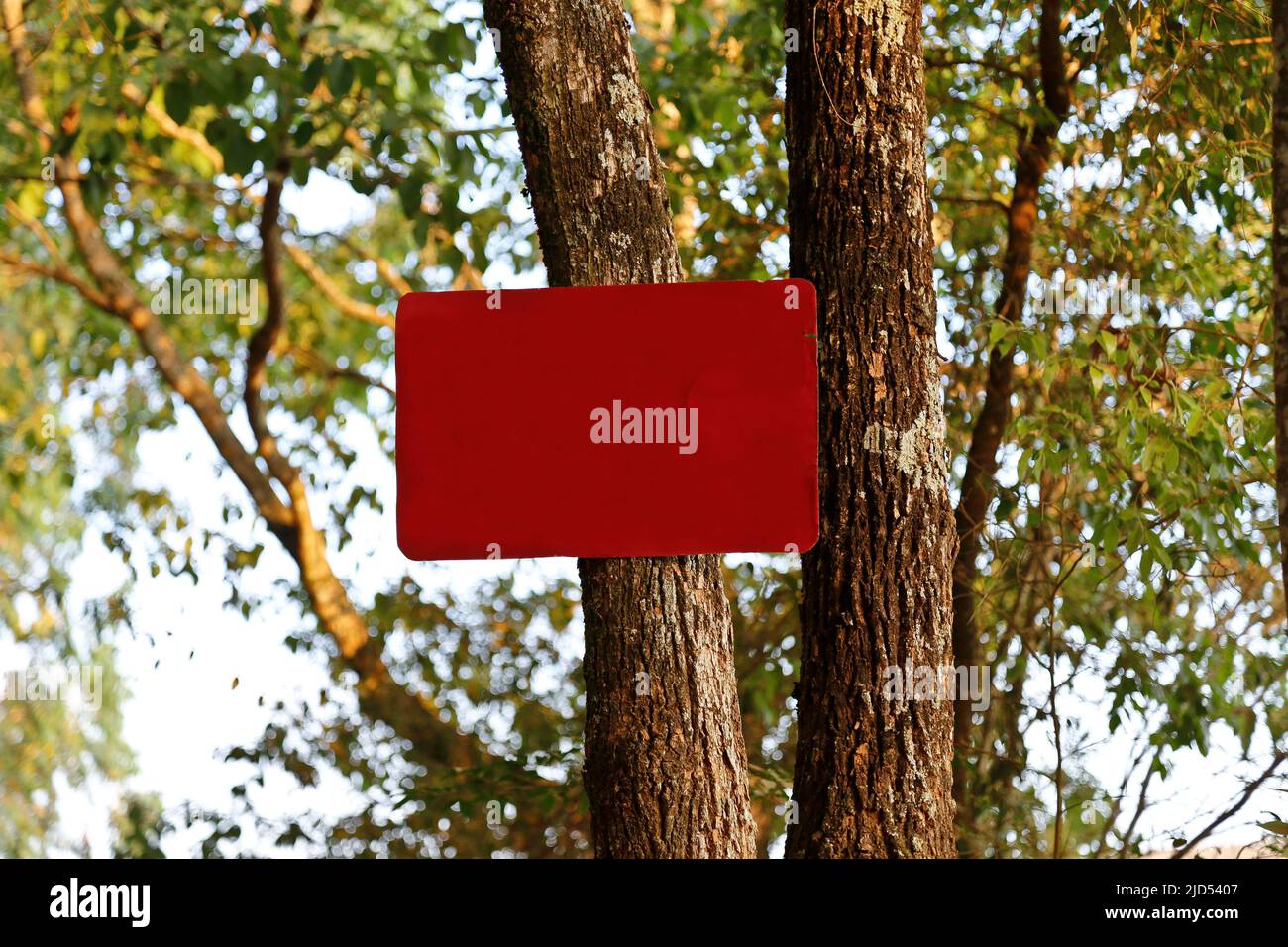 blank red sign pinned to tree during daytime outdoors Stock Photo - Alamy