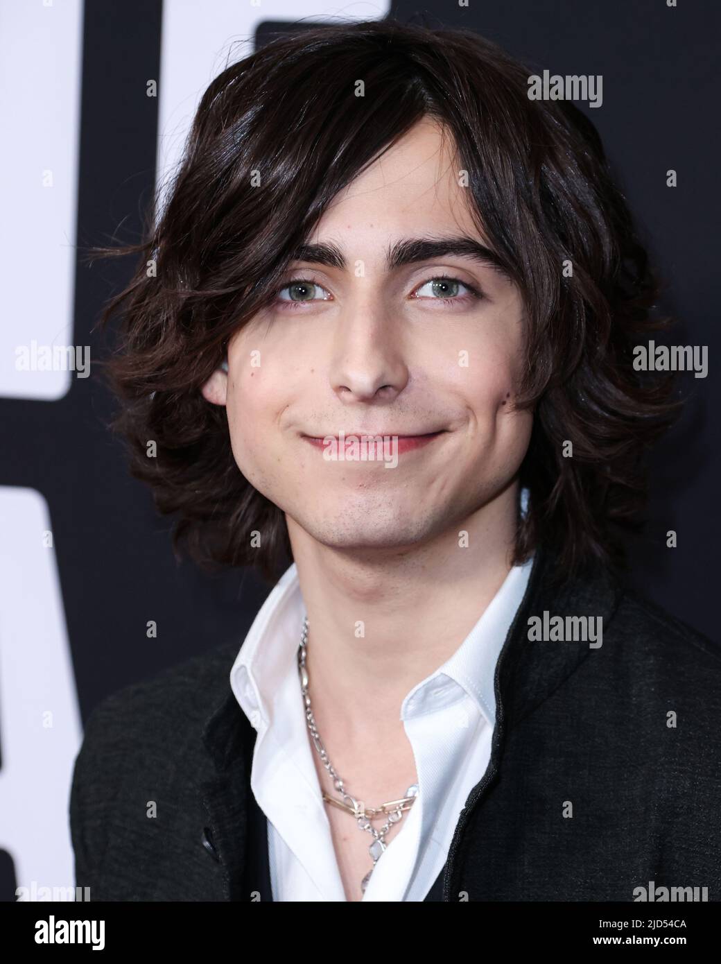 WEST HOLLYWOOD, LOS ANGELES, CALIFORNIA, USA - JUNE 17: American actor ...