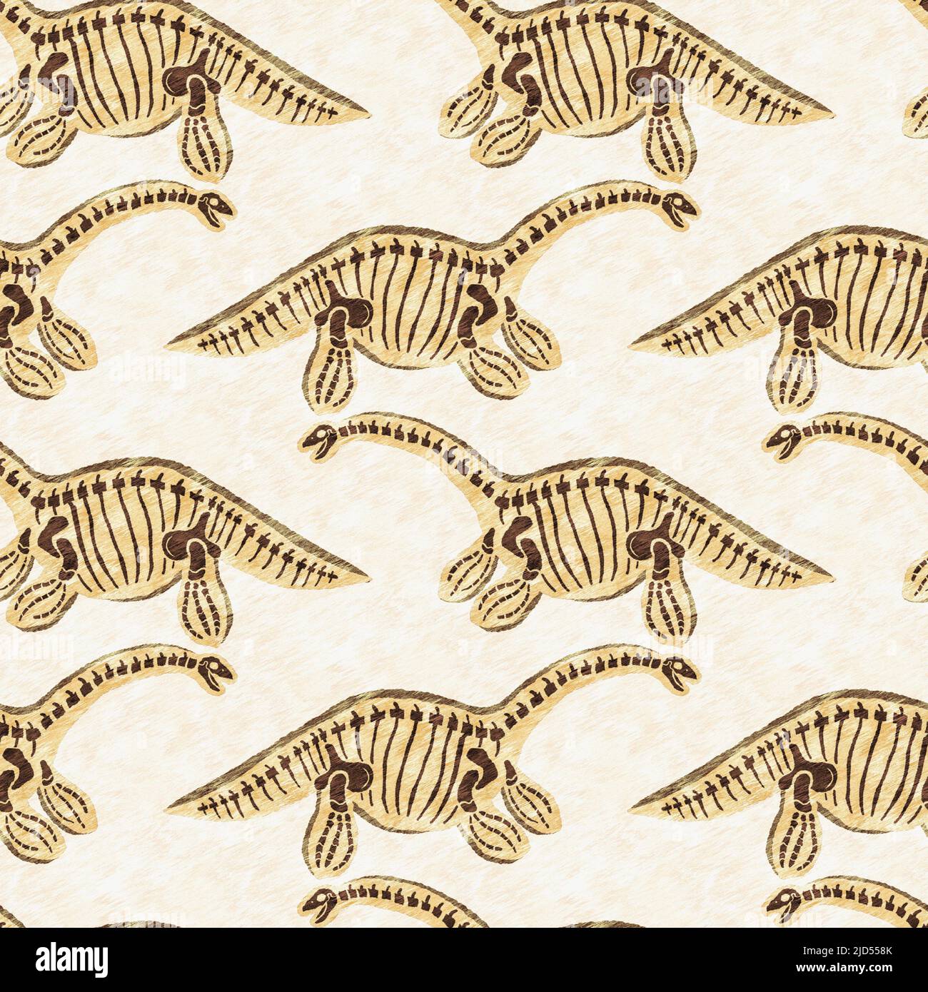 Plesiosaurus bones hi-res stock photography and images - Alamy