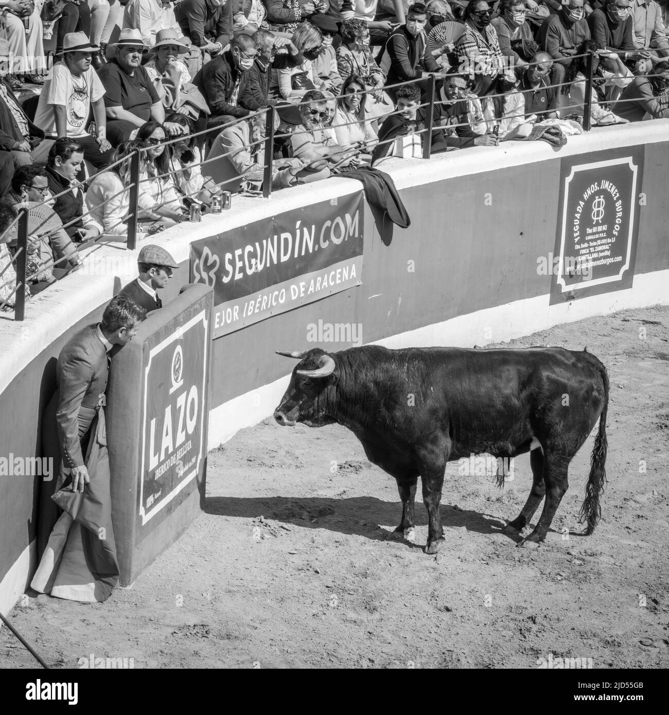 Bullring seville bullfighting Black and White Stock Photos & Images - Alamy