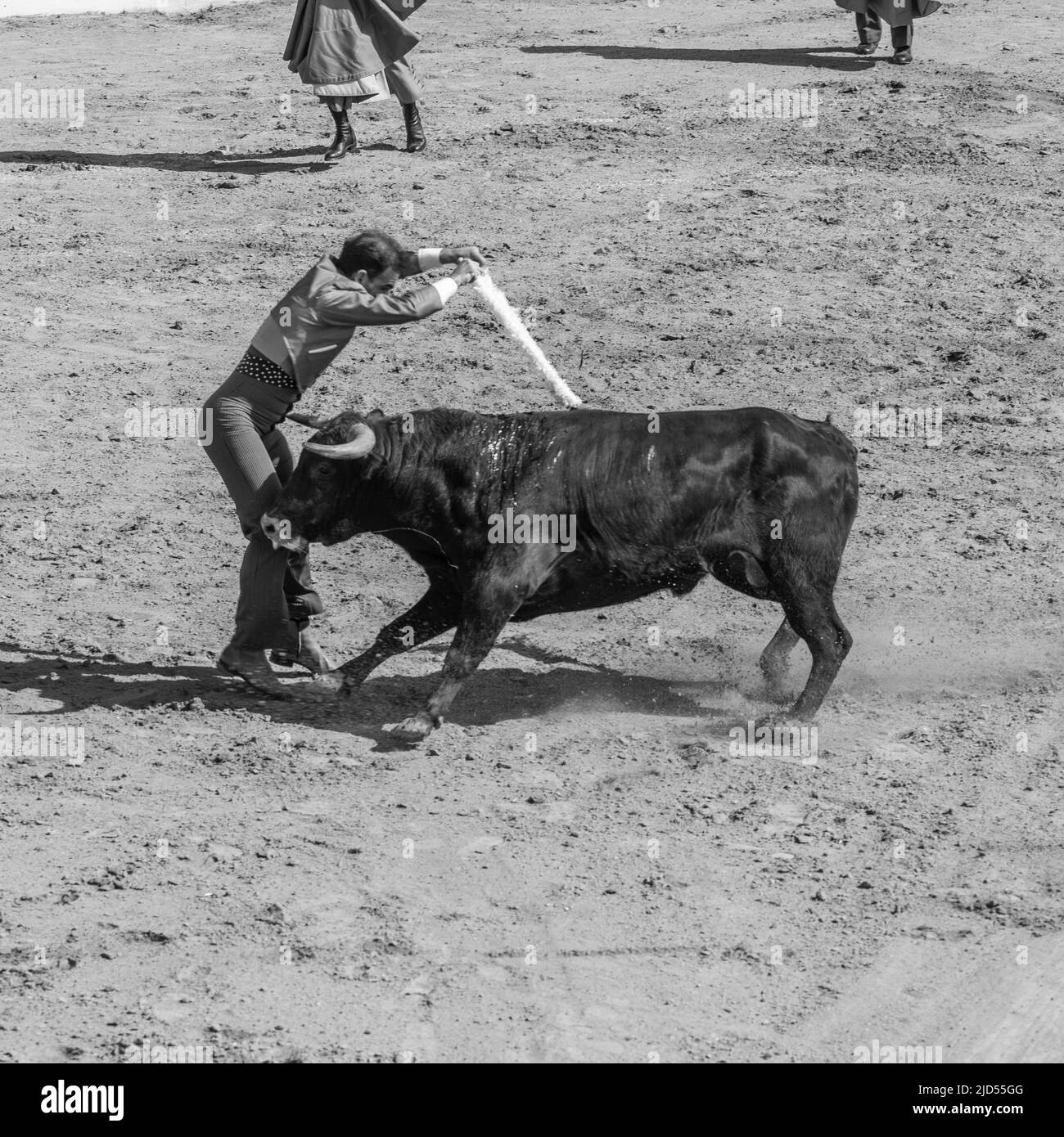 Bullring in seville Black and White Stock Photos & Images - Alamy