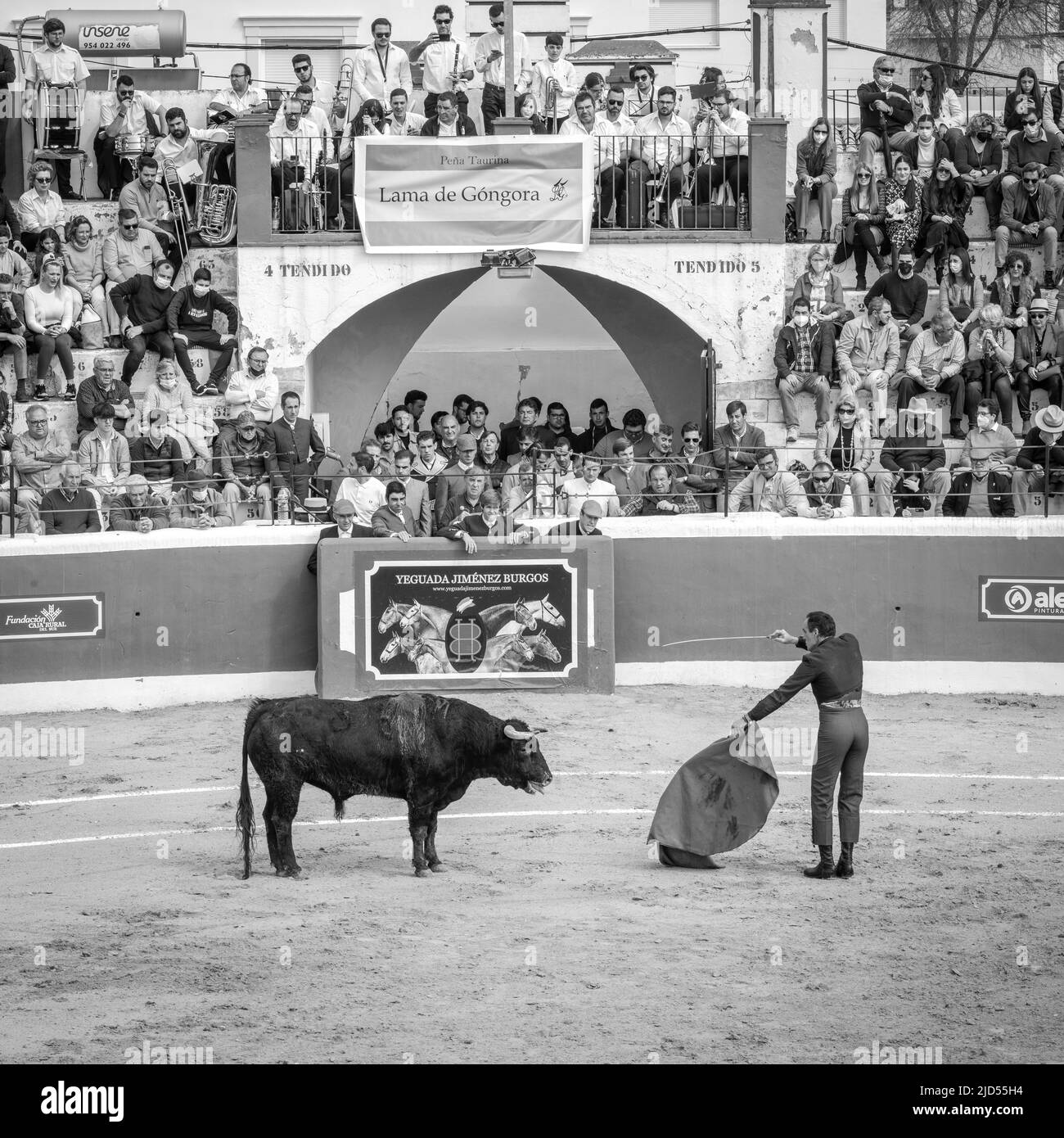 Bullring seville bullfighting Black and White Stock Photos & Images - Alamy