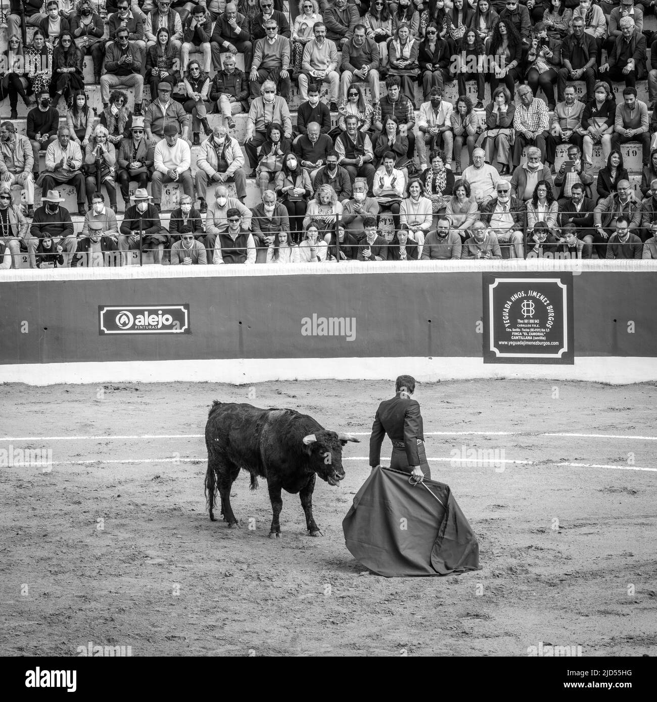 Bullring seville bullfighting Black and White Stock Photos & Images - Alamy