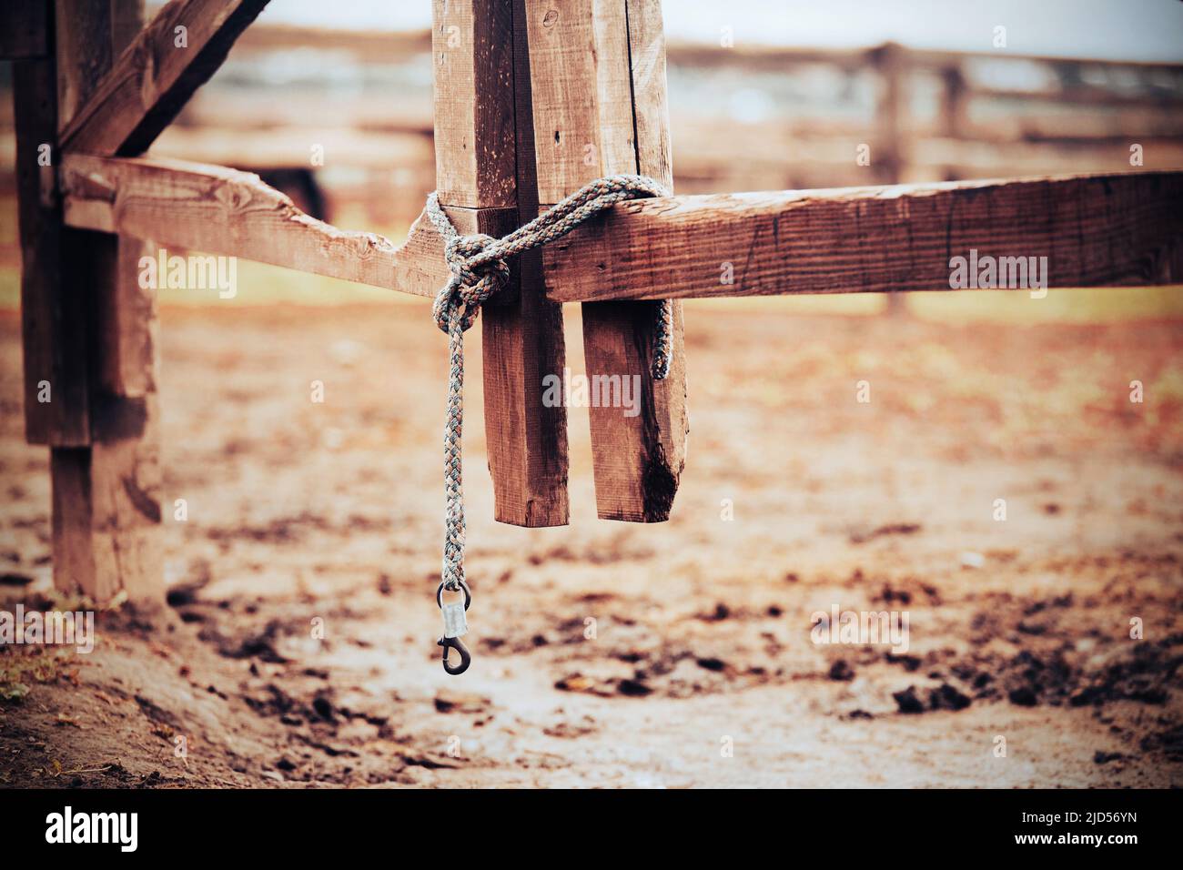 The paddock entrance hi-res stock photography and images - Alamy