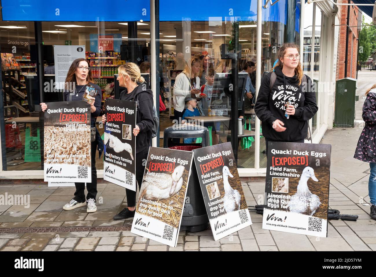 Lincoln, UK. 18th June 2022. Viva members and local Lincolnshire animal ...