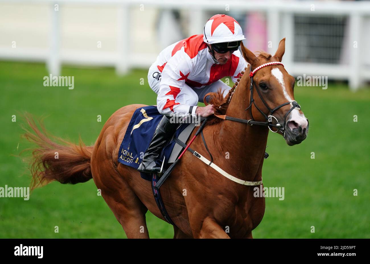 Holloway boy horse hi-res stock photography and images - Alamy