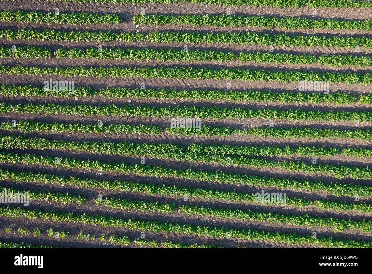 Crop documentation hi-res stock photography and images - Alamy