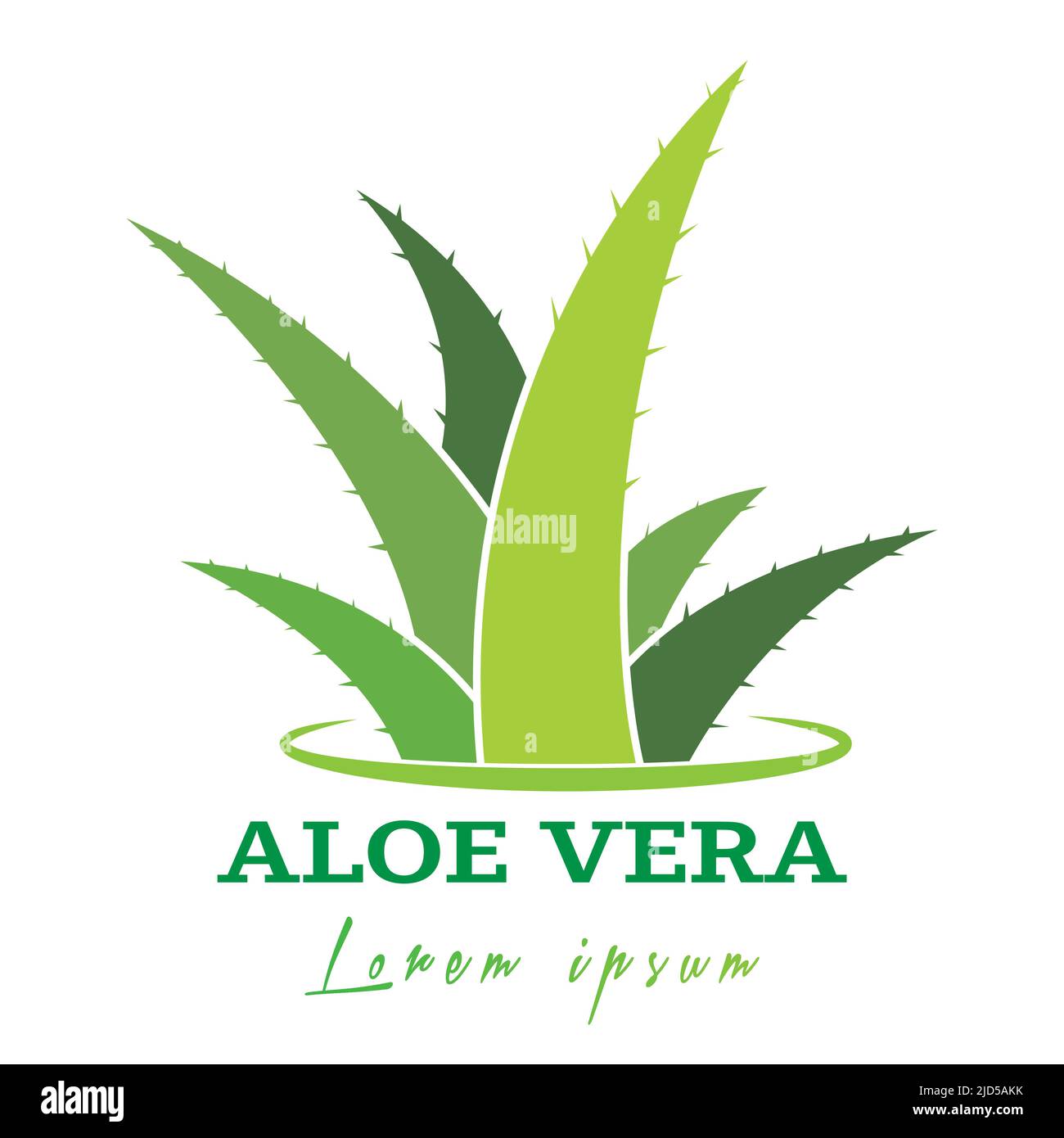 aloe vera icon. Flat color illustration for logo, symbol, label ...