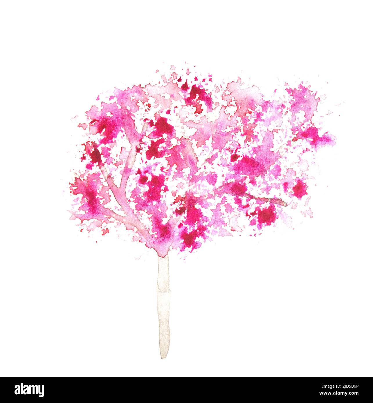 Blossoming watercolor pink tree. Spring flower in bloom on branch ...
