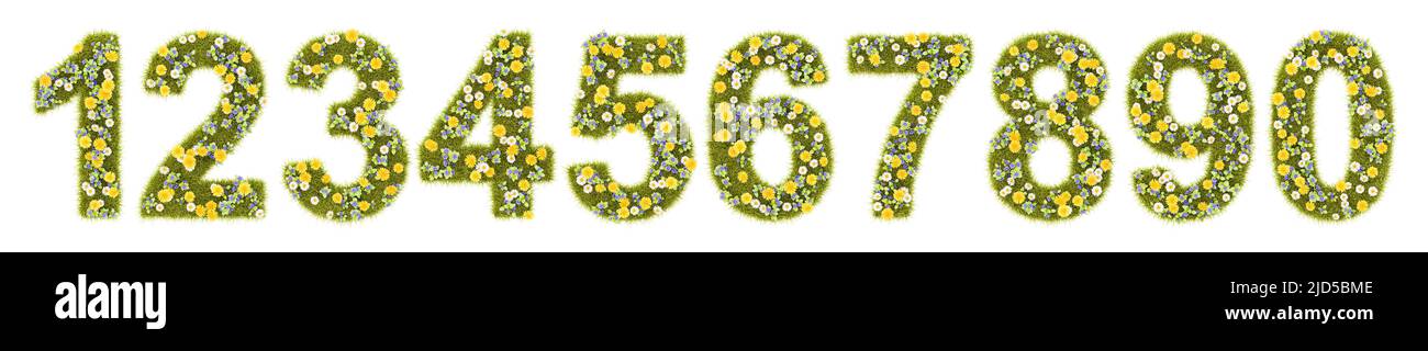 Flowery Grassy Numbers Series Isolated Stock Photo - Alamy