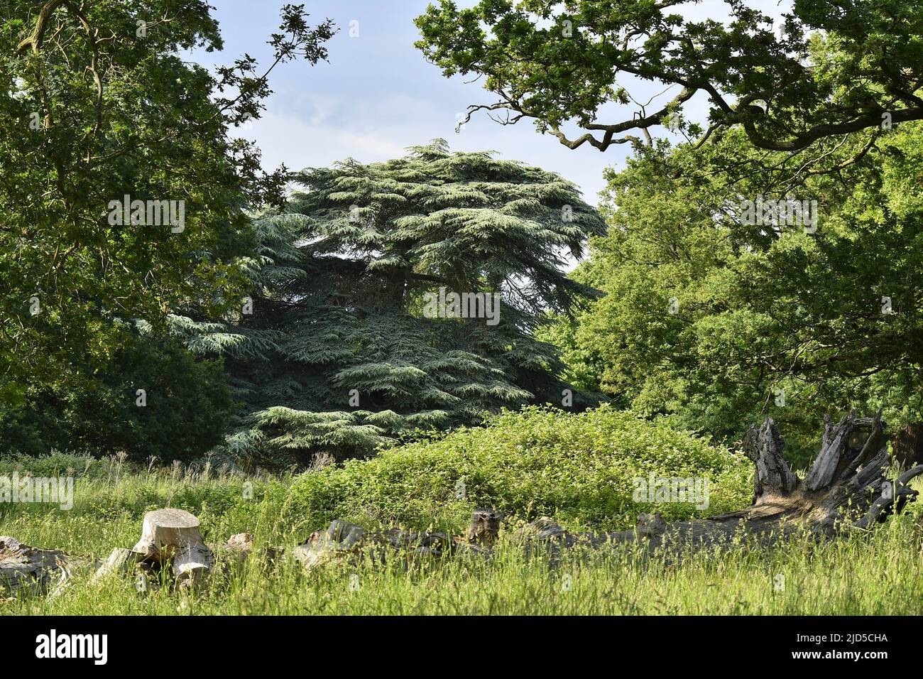 Spring june britain uk hi-res stock photography and images - Alamy