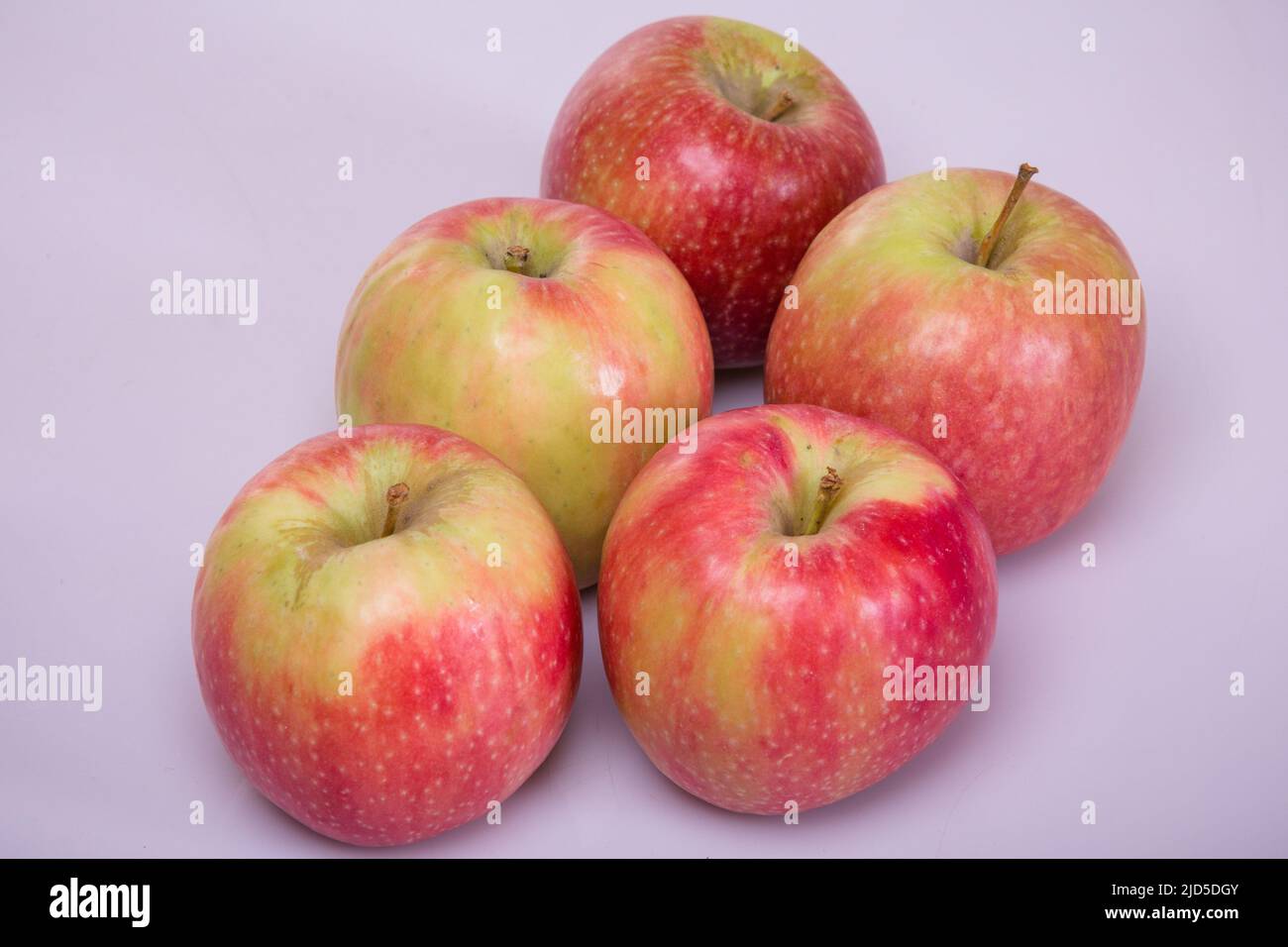 The apple is the fruit of the pome fruit family. It is one of the most ...