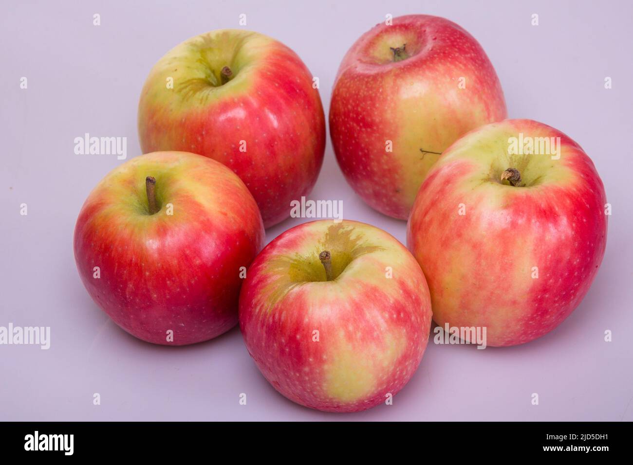 The apple is the fruit of the pome fruit family. It is one of the most ...