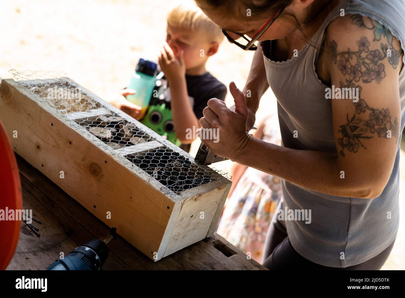 Insect hotel child hi-res stock photography and images - Alamy