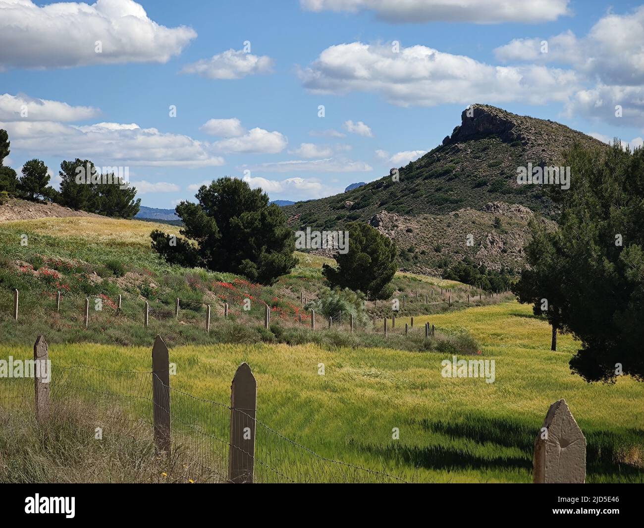 romantic and fresh spring landscape in the spanish sierra nevada ...