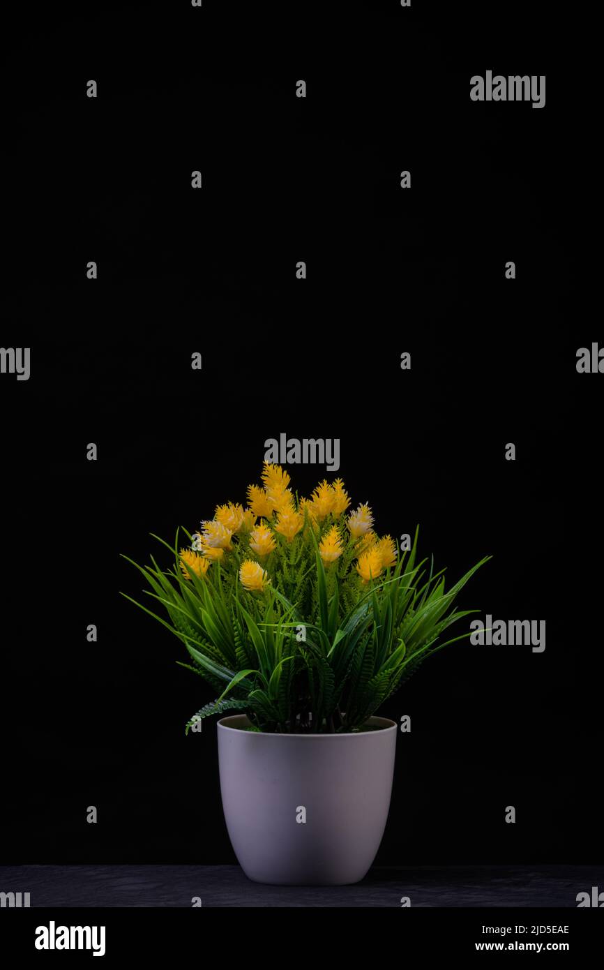 Flowers vessel pot still life objects abstract patterns details Kenya ...