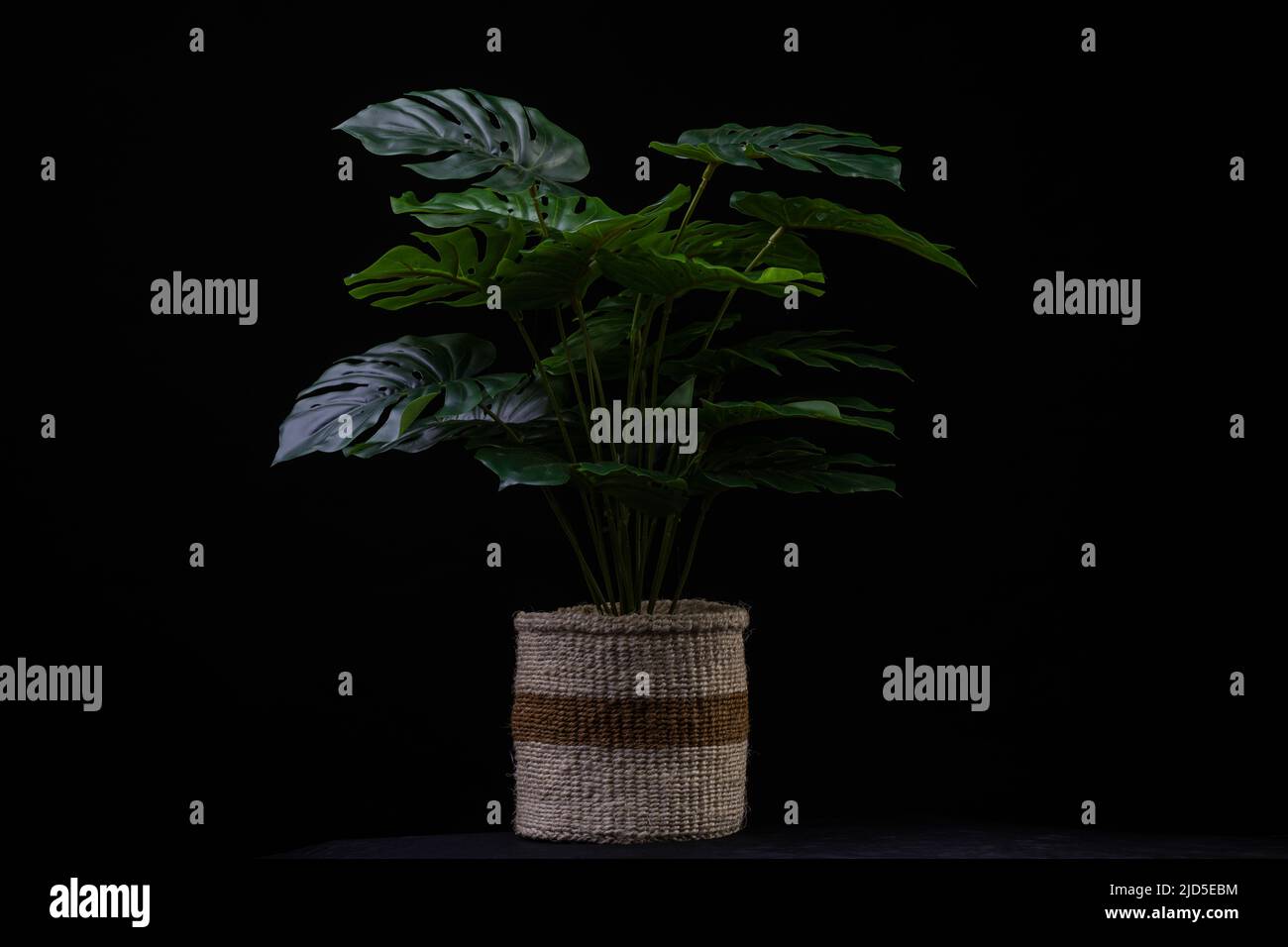 Flowers vessel pot still life objects abstract patterns details Kenya ...