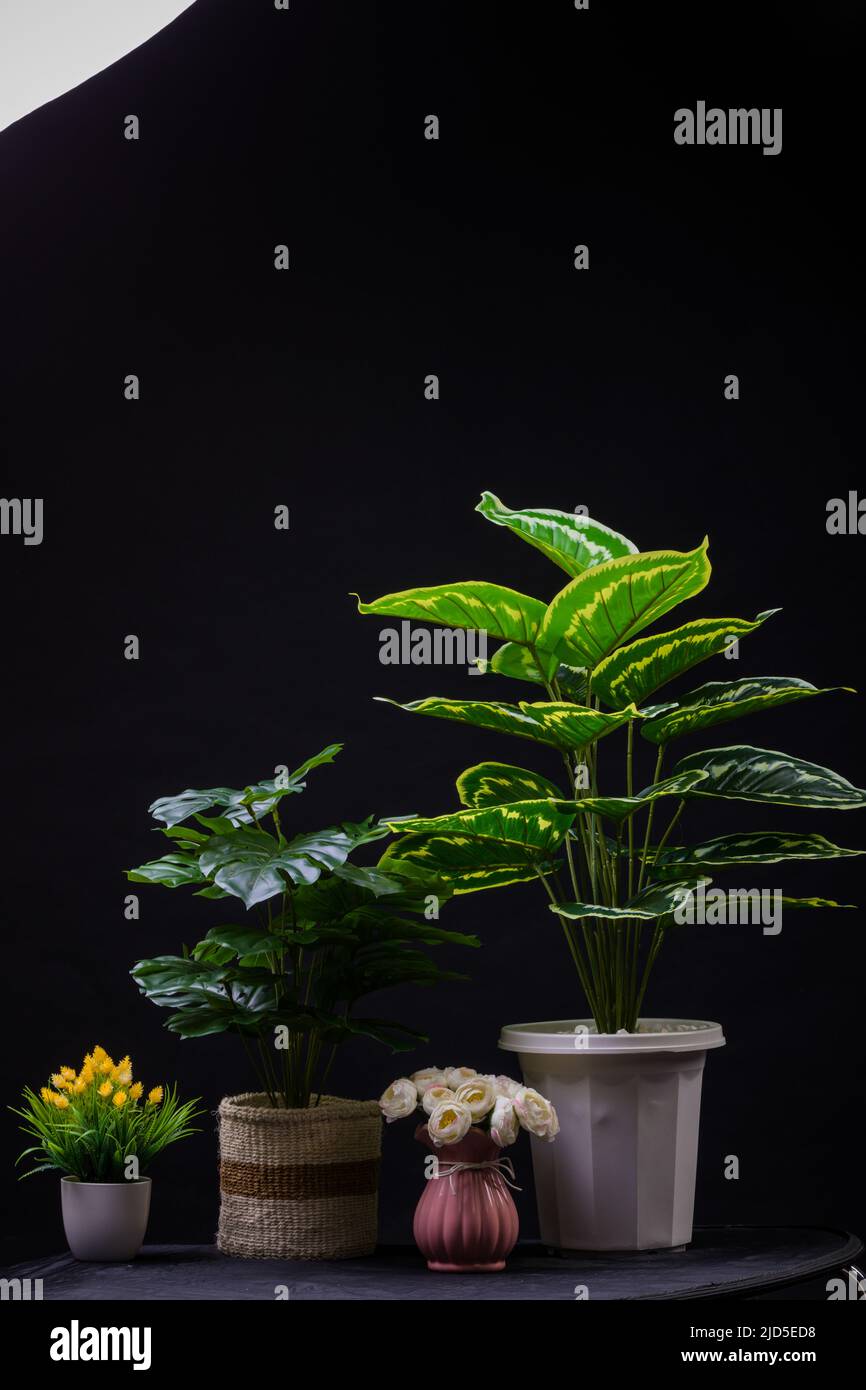 Flowers vessel pot still life objects abstract patterns details Kenya ...