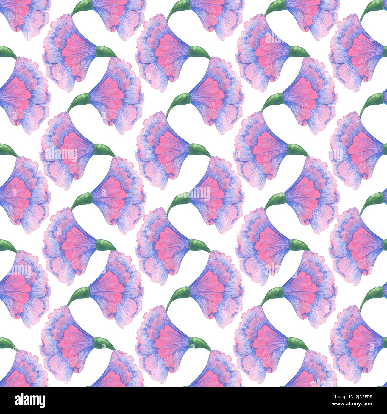 Pink carnation flowers. Watercolor seamless pattern. Pink buds with ...