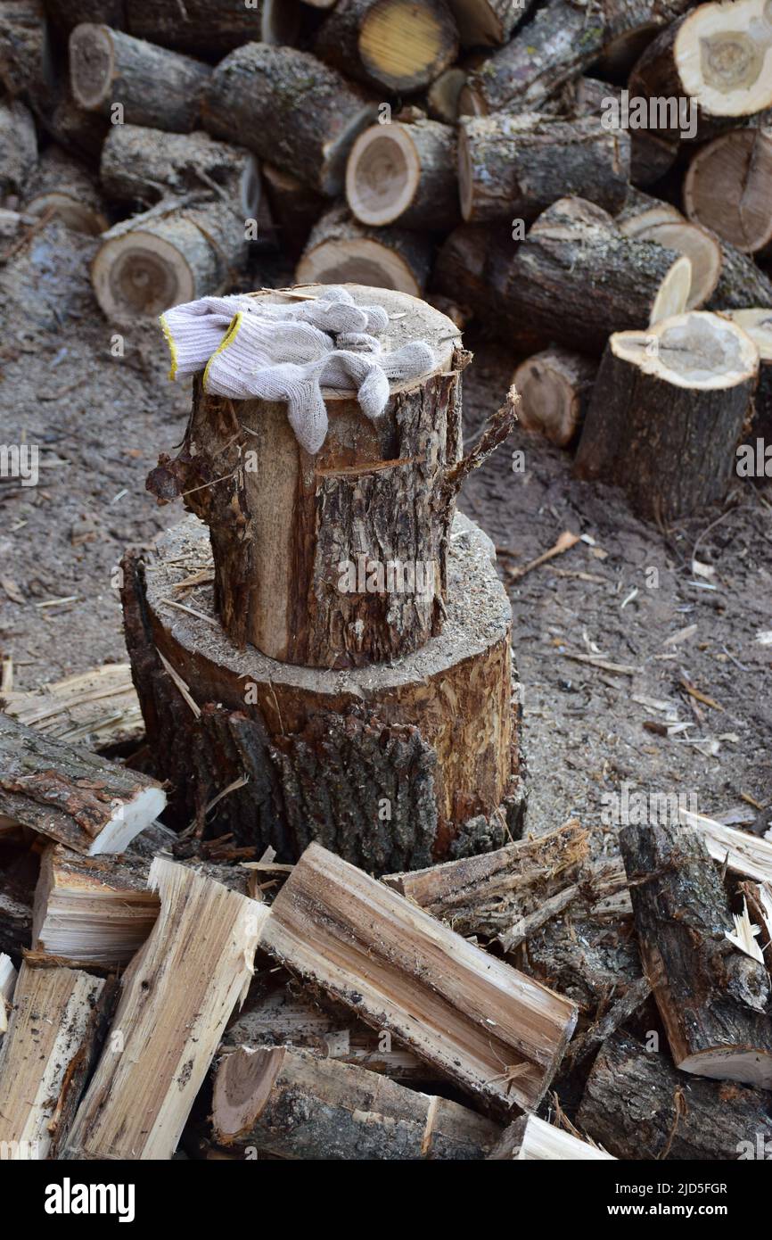 Stacked firewood, prepared for home heating, winter preparation ...
