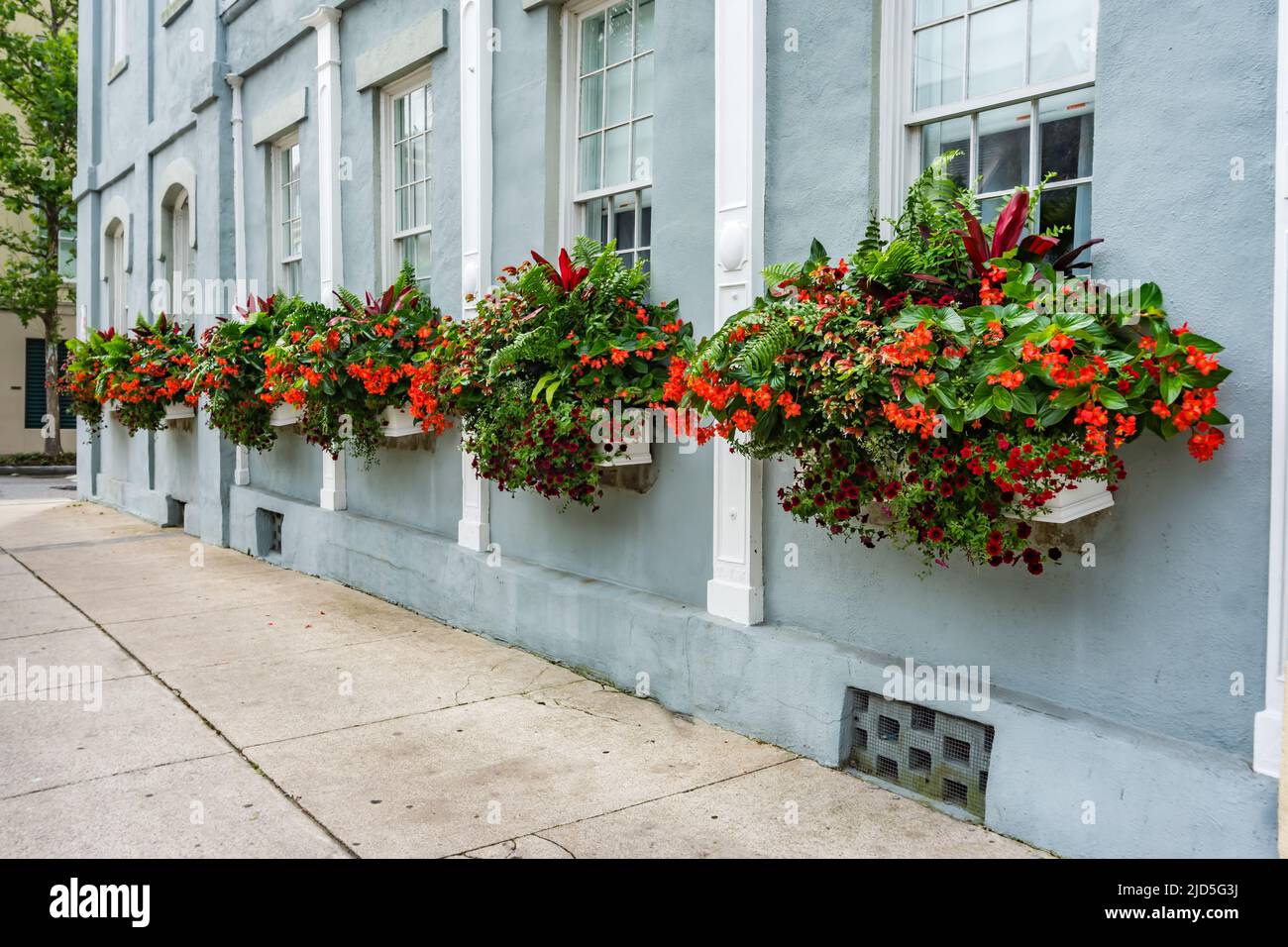 Window flower boxes in Charleston, South Carolina Stock Photo - Alamy