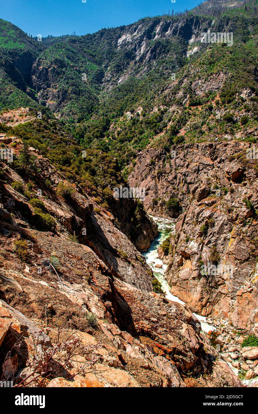 California wildlife park hi-res stock photography and images - Alamy