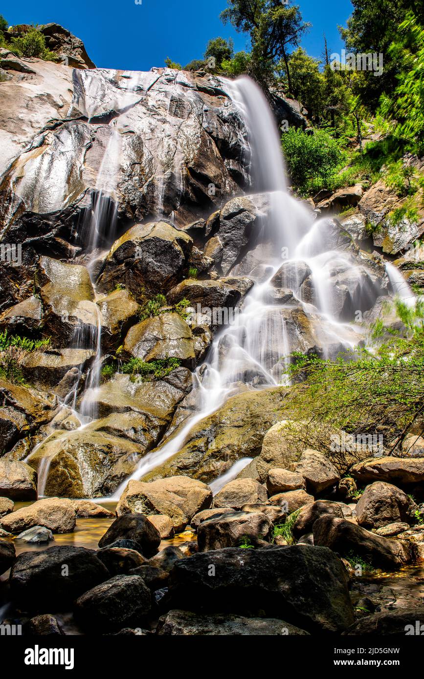 Sequoia National Park, California Stock Photo - Alamy
