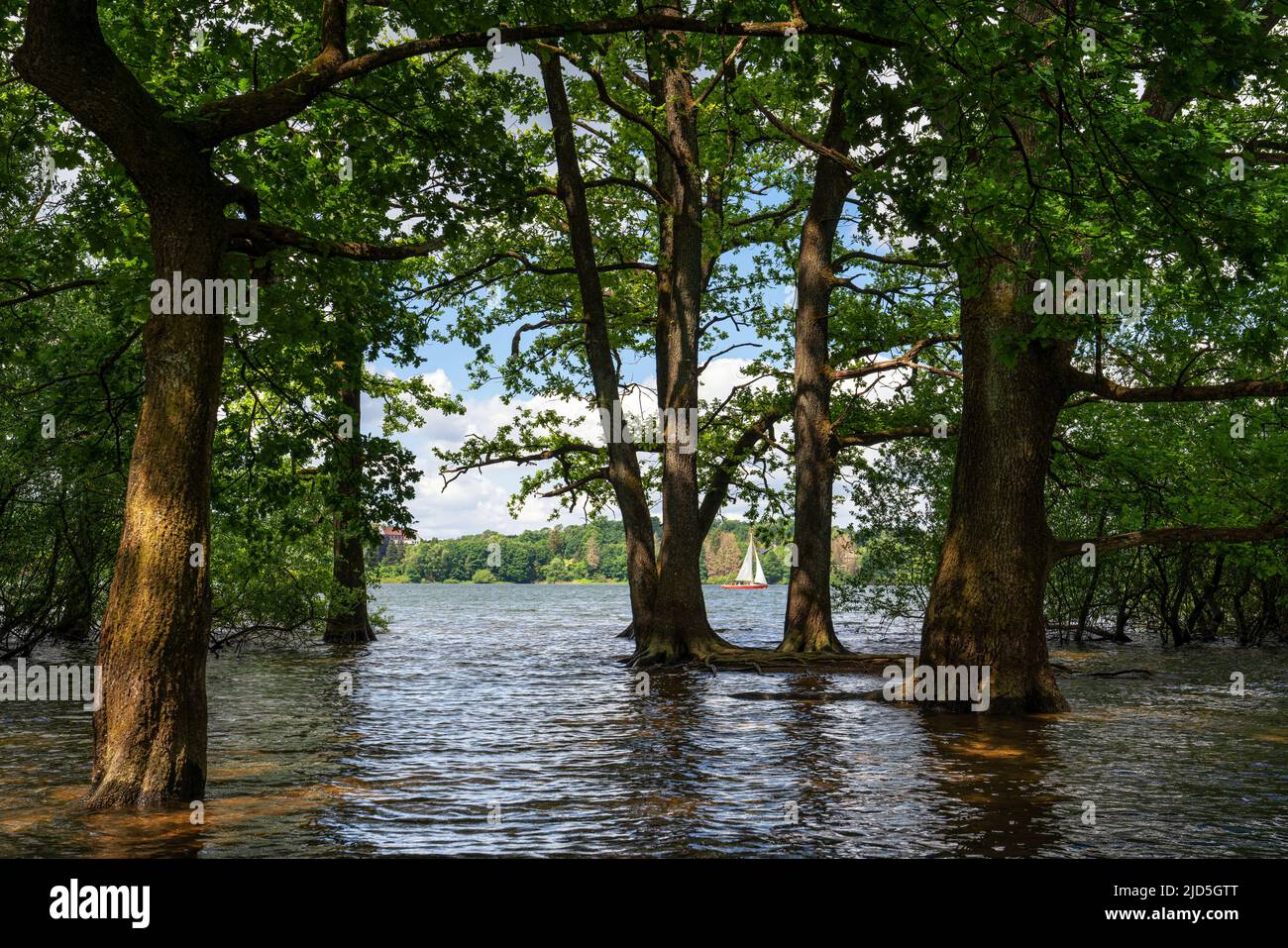 Panoramic landscape of Brucher reservoir at summertime, recreation and ...