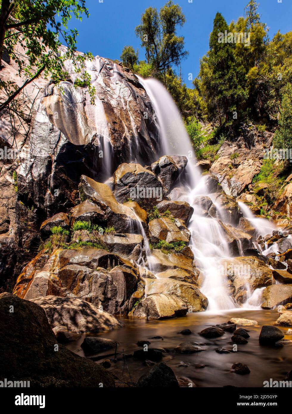 Sequoia National Park, California Stock Photo - Alamy