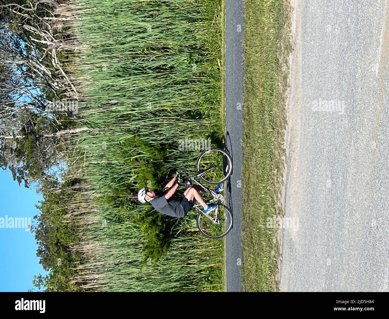 Schwab biden hi-res stock photography and images - Alamy