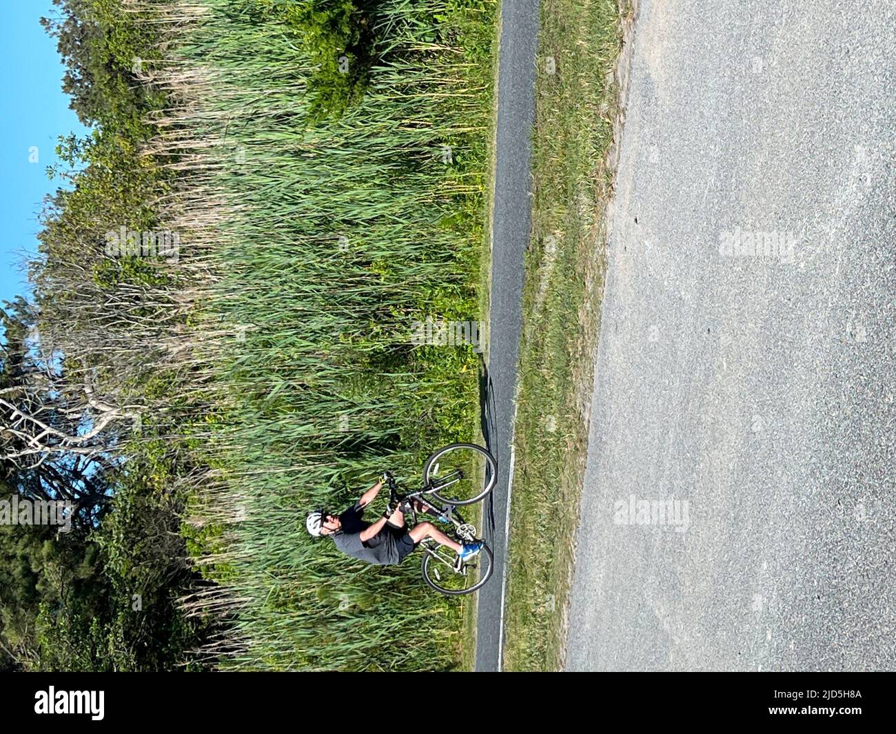 Schwab biden hi-res stock photography and images - Alamy