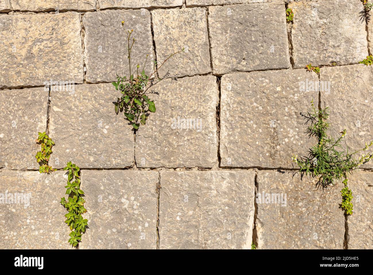 Abstract Stone Wall Background Image. Great for background use Stock ...