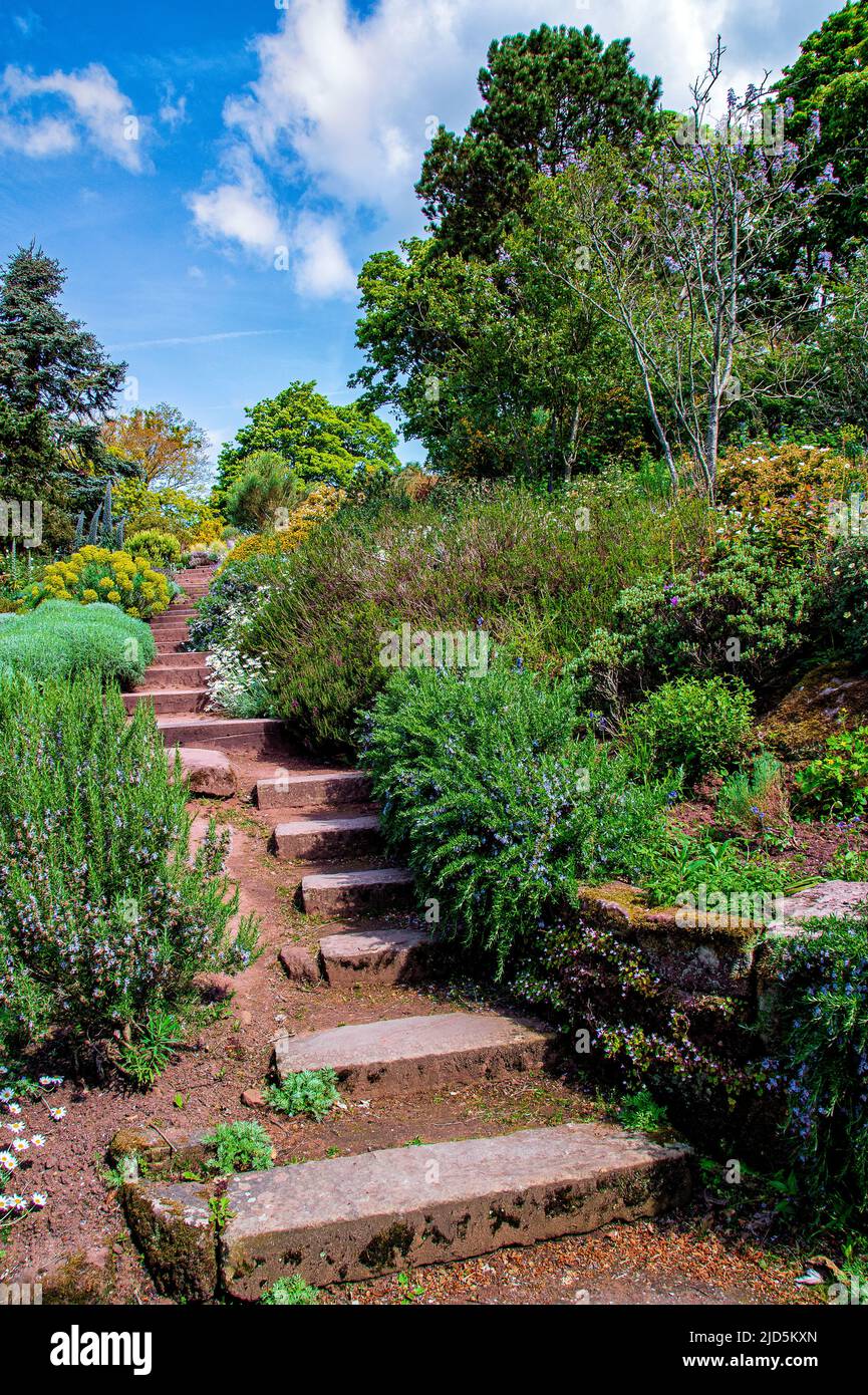 Ness Gardens Cheshire Wirral UK Stock Photo - Alamy