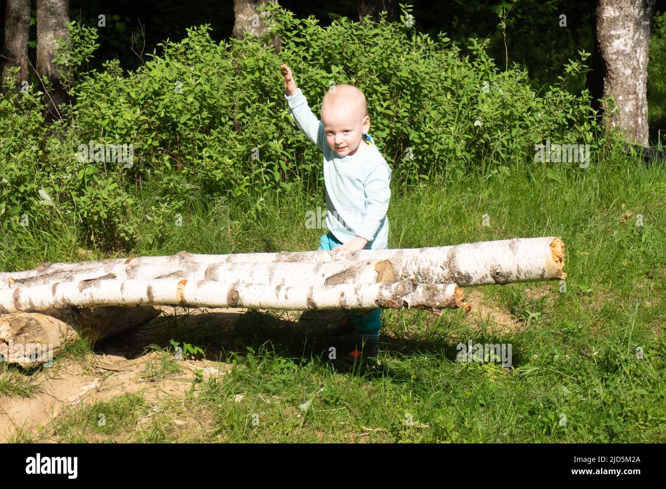 Little boy plays and raised his hand in a green forest near to birch ...