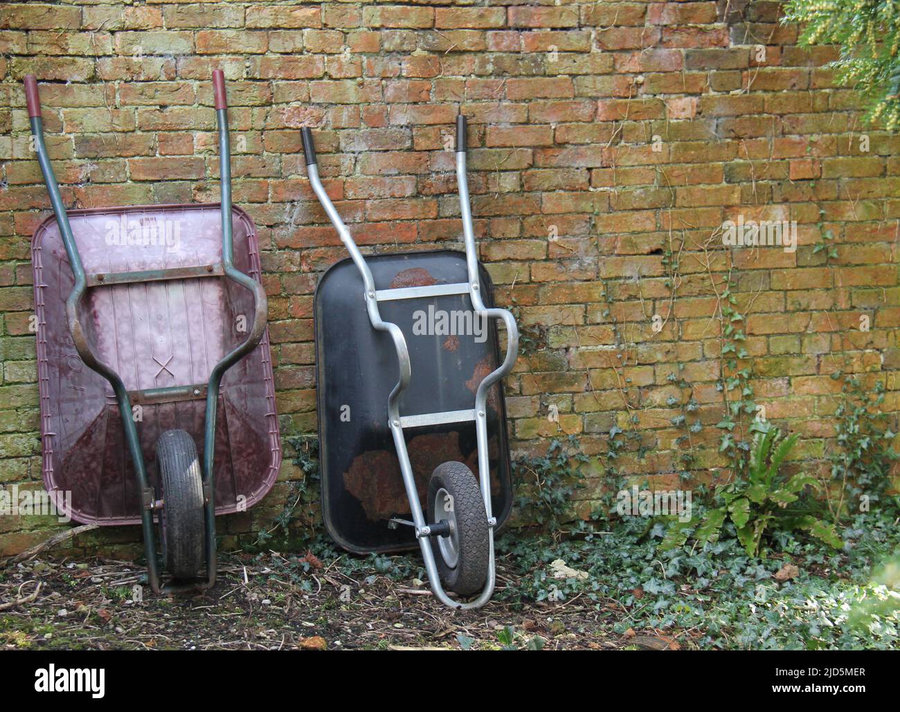 A Pair of Rusty Wheelbarrows Against a Garden Wall Stock Photo - Alamy