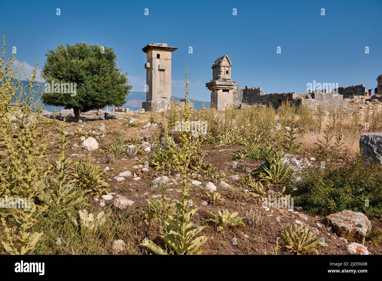 Harpy monument and Lycian tomb in ruins of ancient city Xanthos, Turkey ...