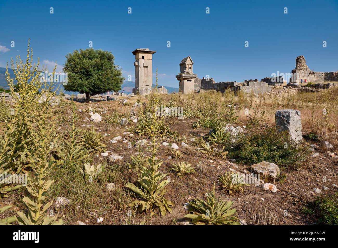 Harpy monument and Lycian tomb in ruins of ancient city Xanthos, Turkey ...