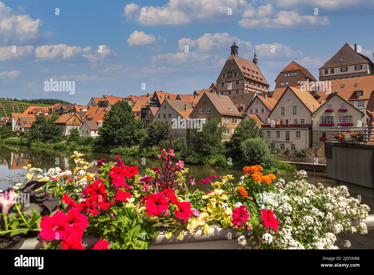 the small town of Besigheim on the River Enz and Neckar with a view of ...